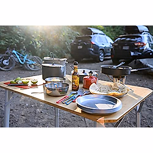 MSR Alpine Stainless Steel Camping Plate, Silver