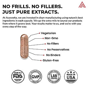 Mushroom Supplement - Lions Mane, Reishi and Cordyceps - 10 Mushroom Complex - Nootropic Brain Supplement for Memory & Focus - Immune Booster - Natural Energy & Stress Relief (90 Capsules)