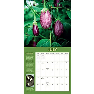 The Year-Round Vegetable Gardener Wall Calendar 2023: Expert Advice for Growing Your Own Food 365 Days a Year