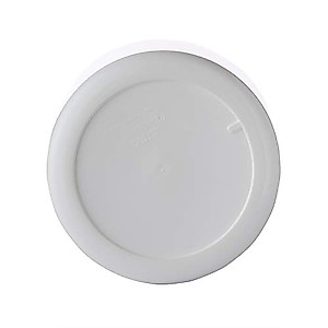 SKL Home Holly Leaves Wastebasket, White