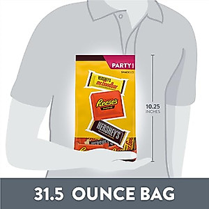HERSHEY'S and REESE'S Assorted Chocolate Flavored Snack Size, Candy Party Pack, 31.5 oz