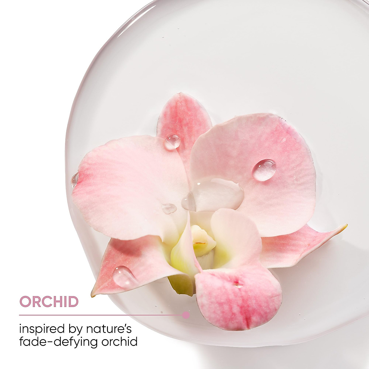 Biolage Color Last Conditioner | Helps Protect Hair & Maintain Vibrant Color | For Color-Treated and Natural Hair | Paraben & Silicone-Free | Vegan | Cruelty Free | Color Protecting Salon Conditioner