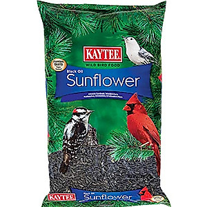 Kaytee Wild Bird Black Oil Sunflower Food, 5 Pounds