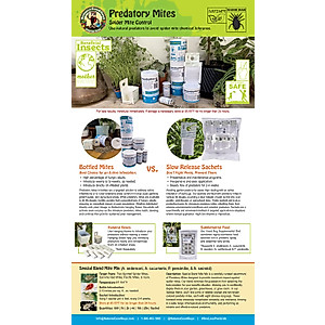 NaturesGoodGuys - Live Adult Phytoseiulus persimilis - Best for Two Spotted Spider Mites (2,000 Live Adult P. Persimilis)