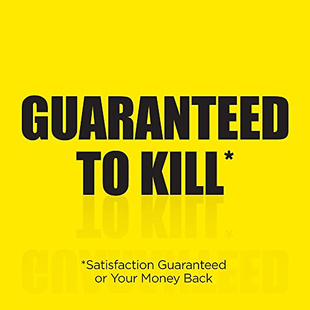 D-Con No View, No Touch Slim Pack Mouse Trap 2 ea (6 Pack) (Packaging may vary)