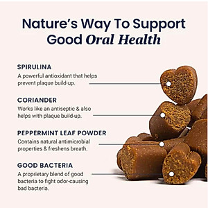 HolistaPet Fresh Breath Soft Chews, Freshen Your Pups Breath with a Heart Shaped Soft Chew, 30 Chews Per Bag (Original)