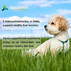 NUTRIARISE Same for Dogs and Cats - S-Adenosyl-L-Methionine, Liver Supplements for Dogs and Cats - Brain Supplement for Dogs and Cats, Promotes Cognitive Support, Liver Support Supplement