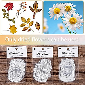 PAGOW 60PCS Transparent Dried Flower Bookmarks Stickers Craft Clear Drift Bottle Page Clips Handmade DIY Beautiful Glassware Decal(6 Size)