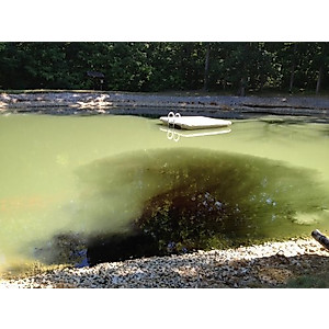 Sanco Industries Pond Dye - Black Individual Water Soluble Packet - 1 Pack Treats 1/4 Acre