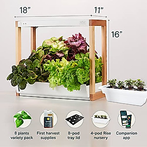 Rise Gardens Personal Garden and Starter Kit | Hydroponics Growing System, Wi-Fi & App Controlled Indoor Garden with Growing Lights & Self-Watering System | Includes 8 Seed Pods & 6 Weeks Nutrients