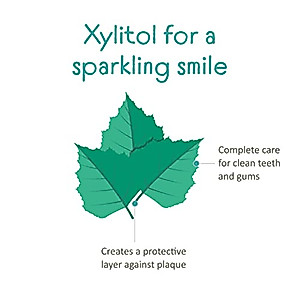 Himalaya Botanique Kids Toothpaste, Cool Mint Flavor to Reduce Plaque and Keep Kids Brushing Longer, Fluoride Free, 4 oz, 2 Pack