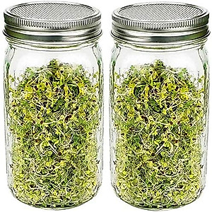 Seeds Sprouting Kit, 2-Pack Mason Jar Germination Growing Kit with Stainless Steel Mesh Lids and Stands, Wide Mouth Jars Germinator, Indoor Seed Sprouter Set for Broccoli Beans Microgreens Sprouts