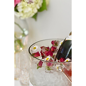 Mud Pie Glass Ice Bucket, Clear/White, Bucket 8" x 7" Dia | Tongs 6.75"