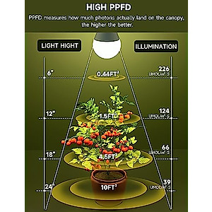 UNILAMPRO Grow Light Bulbs, A19 Grow Light Bulb, Full Spectrum Light Bulb, Plant Light Bulbs E26 Base, 9W Plant Grow Light Bulbs 100W Equivalent, Grow Light for Indoor Plants, Seeds, Flowers, 3 Pack