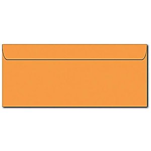 Business Envelopes #12 Size (4 3/4" x 11") - 24lb Bond Golden Kraft - 100 Pack