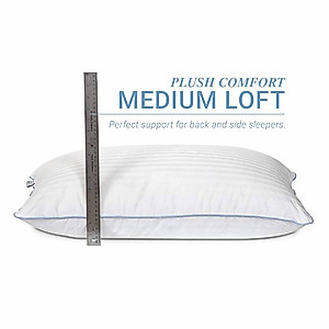 eLuxurySupply 2-Pack Premium Bed Pillows - Medium Density and Medium Loft Ideal for Back and Side Sleepers - 100% Cotton Casing - 20"X28" Standard/Queen Size