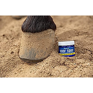 Vetericyn Hoof Soak. for Hooves with Sole and Frog Damage Caused by Abscesses, Whitel Line Separation, and Thrush. 30 Grams