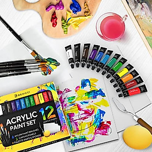 Acrylic Paint Set for Kids, Artists and Adults - 12 Vibrant Colors, 6 Brushes and 3 Paint Canvases - Perfect for Beginners or Professionals