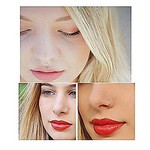 COCHARM Fake Nose Ring Non Piercing Nose Hoop Fake Faux Septum Jewelry Fake Lip Rings Unpierced Clicp on Nose Hoop Non Piercing Earrings