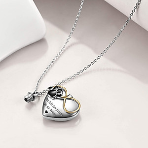 POPLYKE Infinity Heart Urn Necklace for Dog Sterling Silver Pets Ashes Necklace for Women Men Unisex Cremation Necklace Jewelry