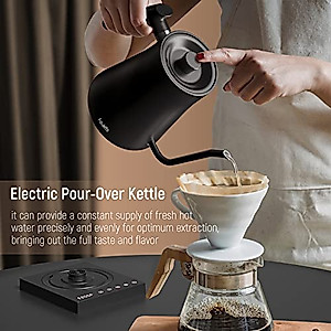 Gooseneck Electric Kettle Fabuletta Electric Kettle Temperature Control 100% Stainless Steel Inner Lid & Bottom Pour Over Coffee Kettle & Tea Kettle 1200W Quick Heating 1L Tea Pot for Family