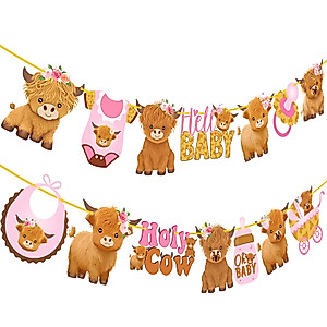 Pink Highland Cow Banners 2Pcs Highland Cow Baby Shower Party Decorations Holy Cow Baby Shower Banner Highland Cattle Cutout Decorations for Girl Oh Baby Cow Birthday Party Supplies