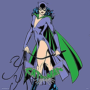 Skinit Decal Gaming Skin for PS4 Console - Officially Licensed Warner Bros Catwoman Portrait Design