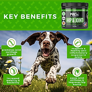 Pet Chef Advanced Dog Hip & Joint Supplement Treat - Glucosamine, Chondroitin & Turmeric MSM Breeds-Reduce Pain, Inflammation & Arthritis. Super Dog Hip & Joint Treat. Renews All Dogs.