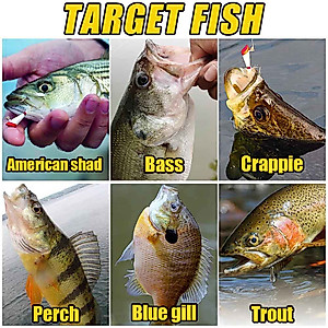 Shad-Darts-Fishing-Lures-Shad-Jig-Head 1/16oz 1/8oz 1/4oz 1" W/Bucktail 25 Pack (1/8 oz (3.5g) JIG HEAD W/SPINNER -25 Pack)