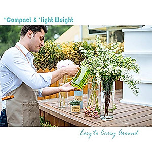 Watering Can Indoor, Small Watering Cans for House Plants, Succulents and Flowers, Long Spout, 1 Liter, with Bonus Plant Mister Spray Bottle