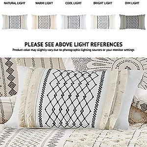 INK+IVY Bea Mid Century Modern Cotton Oblong Decorative Pillow Sofa Cushion Lumbar, Back Support, 12" x 20", Geometric Embroidery Ivory, II30-998