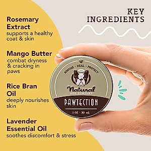 Natural Dog Company PawTection, 1 oz Tin, Veterinarian-Approved, All-Natural Dog Paw Balm and Moisturizer, Nourishing Dog Paw Protector for Rough Terrain and Harsh Temperatures