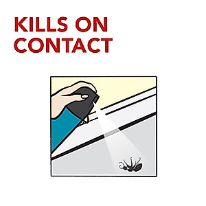 Raid Flying Insect Killer Value Pack, 30 Ounce