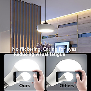 A19 LED Light Bulb,120 Watt Equivalent LED Bulbs, Daylight White 5000K, 1600 Lumens, E26 Standard Base, Non-Dimmable, 13W Bright LED Bulbs, Frosted,4 Count (Pack of 1)