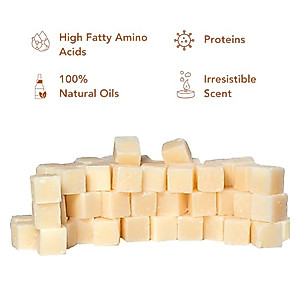 Catfish Pro Skipjack Catfish Bait - 10oz Bag with 80pcs | Irresistible Scent for Catfish | Mess-Free, Stays On Your Hook When Nothing Else Will | Great for Rod, Reel, Trotline, Jugs & Yoyos Fishing