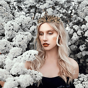 ANBALA Black Crowns for Women Tiaras for Wedding Tiaras and Crowns Crystal Princess Crown for Birthday Halloween