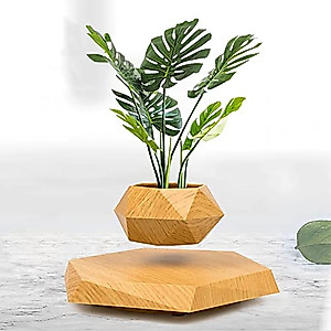 HCNT Levitating Plant Pot, Magnetic Levitation Flower Pot Rotating Planters Suspension Floating Plant Succulents Potted for Home Living Room Office Desk Decoration (Wood)