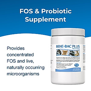 Pet-Ag Bene-Bac Plus - 1 lb Powder - FOS & Probiotics for Dogs, Cats, Exotic & Wildlife Mammals
