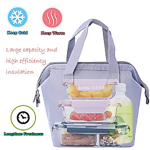 Lovyan Reusable Insulated Lunch Bag Stylish Bento Lunch Bag Water-resistant Lunch Tote Bag Lunch Box Containers for Women Men Adults Work Picnic (Grey)