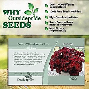 Outsidepride Coleus Wizard Velvet Red Indoor or Outdoor House or Container Plant Seed - 100 Seeds