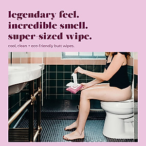 Goodwipes Flushable Butt Wipes Made with Vitamin E & Aloe - Soft & Gentle Wet Wipe Dispenser for Home Use, Septic & Sewer Safe - Largest Adult Toilet Towelettes - Rosewater, 360 Count (6 Packs)