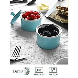 DOWAN Salt and Pepper Bowls, 9 OZ Salt and Pepper Cellar, Salt & Pepper Shakers Set of 2, Stacking Ceramic Salt and Pepper Container with Lid, Salt Keeper, Adorable Decorative Mason Décor, Turquoise