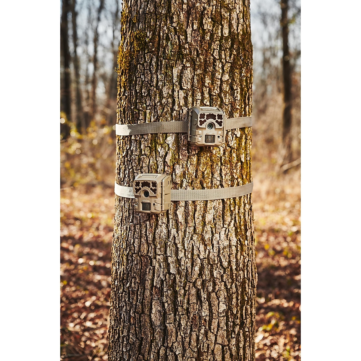 Moultrie Micro-32i Trail Camera Kit - Double Pack