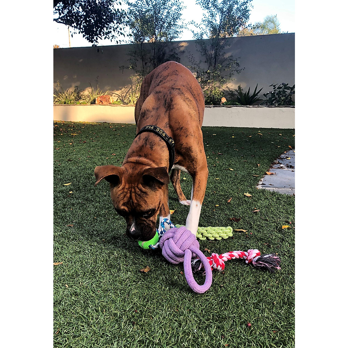 RITE-HITE Rope Dog Toys - for Small, Medium, and Large Size Dogs, Includes Ball, Made for Aggressive chewers and Great for Teething (Large)