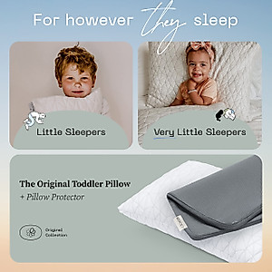 Coop Home Goods - Toddler Pillow (14x19) and Grey Pillow Protector - Premium Cross-Cut Memory Foam - Soft Lulltra Washable Cover from Rayon - CertiPUR-US/GREENGUARD Gold Certified