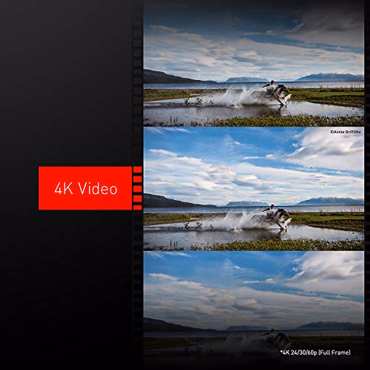 Panasonic LUMIX S1R Mirrorless Camera with LUMIX S 24-105mm f/4 O.I.S Lens - Open Box