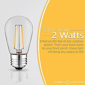 Hudson Lighting Outdoor String Lights - LED - for Patio, Garden, Deck, Backyard, Gazebo - 48 Feet - S14 – 15 Hanging Sockets - E26 Base - 2 Watt