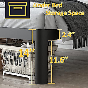 Firpeesy 14 Inch Queen Bed Frame with Sturdy Steel Round Corner Legs, 3500 lbs Heavy Duty Metal Platform Bed Frame with Steel Slats Support, No Box Spring Needed,Noise Free,Non-Slip,Easy Assembly