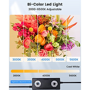 Fasonic 24"x24" Photo Studio Light Box for Photography, Foldable Bi-Color Dimmable Shooting Tent Kit with 240 LED Lights, 3000-6500K Lighting Booth, 6 Color Backdrops