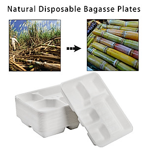 Hacaroa 50 Pack 5-Compartment Compostable Paper Plates, Natural Disposable Bagasse Plates School Lunch Trays, Rectangular Divided Plates for Party, Picnic, Eco-Friendly, Biodegradable, White